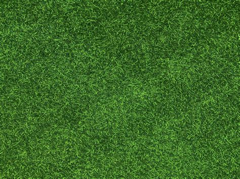 Fondo De Textura De Hierba Verde Concepto De Jardín De Hierba Utilizado