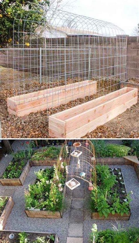 22 Ways For Growing A Successful Vegetable Garden Backyard Vegetable