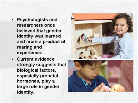 Chapter 11 Reproductive Behaviors Variations In Sexual Behavior