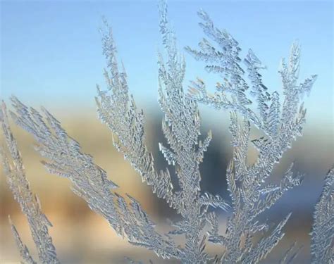 Why Do Windows Freeze The Reasons Ask The Expert