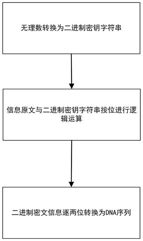Dna Data Storage And Coding Method Eureka Patsnap