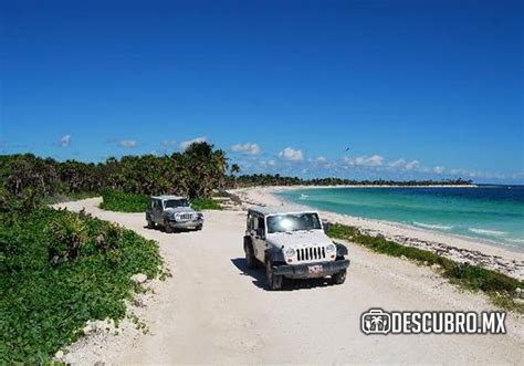Conoce La Reserva De Biosfera De Sian Kaan En Tulum