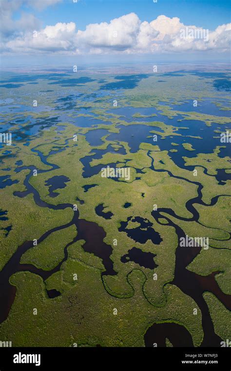 Aerial View Over Subtropical Mangrove Wetlands Of The Everglades