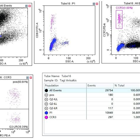 Flow Plot Of The Basophil Activation Test Obtained Following The Download Scientific Diagram