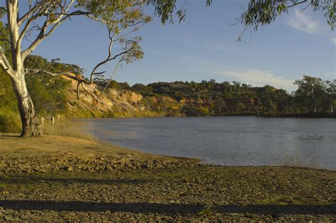 Elevation Of Berri Sa Australia Topographic Map Altitude Map