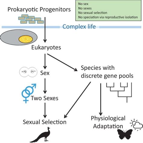 Mitonuclear Ecology Pmc