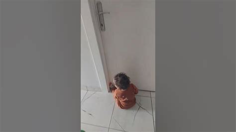 Adek Bangunin Kakak Youtube