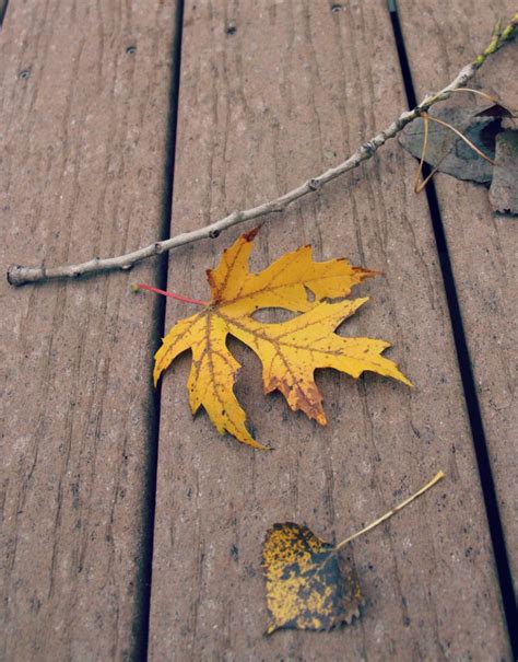 Sandra Sandra Engelland