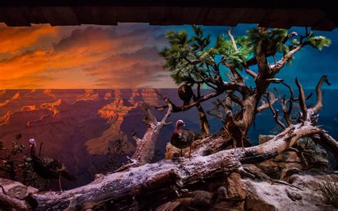 Grand Canyon Diorama