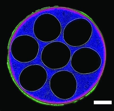 Micro Computed Tomography And X Ray Diffraction Computed Tomography