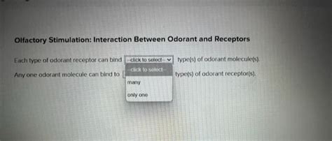 Solved Olfactory Stimulation Interaction Between Odorant