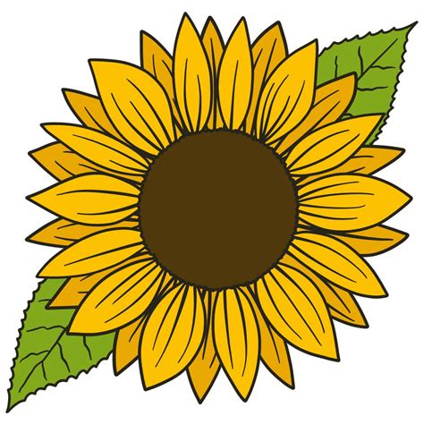 Sunflower Drawing In Cartoon At Daniel Jones Blog