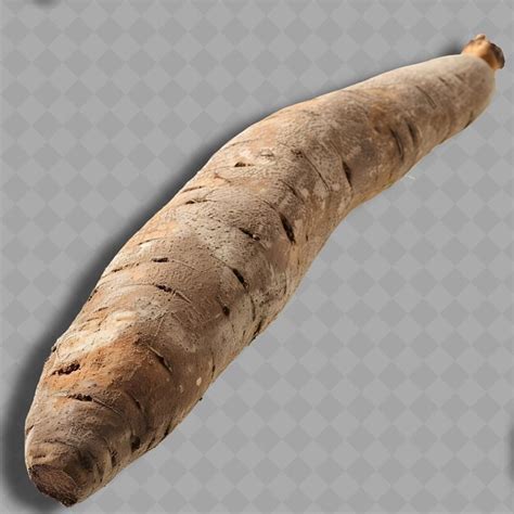 Premium Psd Png Yams Root Vegetable Elongated Shape Characterized By