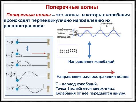 Распространение колебаний в среде Волны Продольные и поперечные волны
