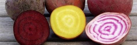 Rote Bete Bundeszentrum Für Ernährung Bzfe