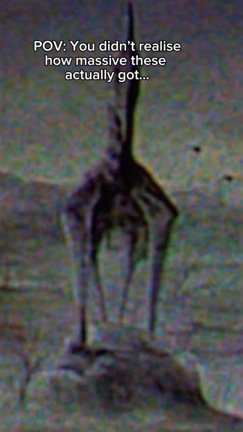 Jurassic World Rebirth Quetzalcoatlus