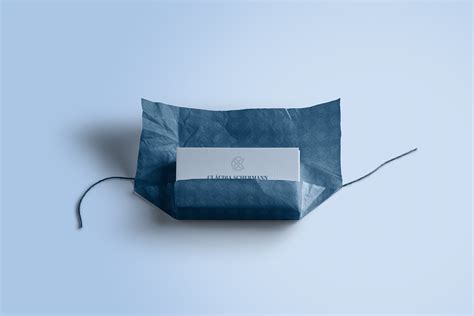 Cláudia Schermann Dermatologia Criação De Marca 6 Images Behance