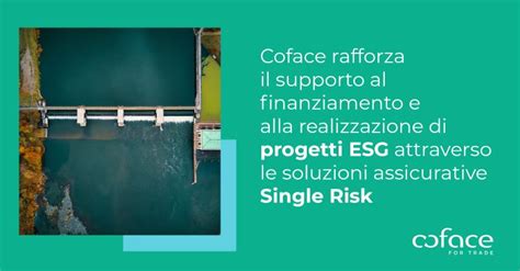 Marta Giora Posted On Linkedin