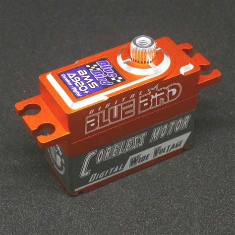 Products Blue Bird Model