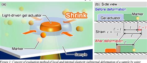 Figure 1 From Evaluation Of Local And Internal Elasticity Of Hydrogel