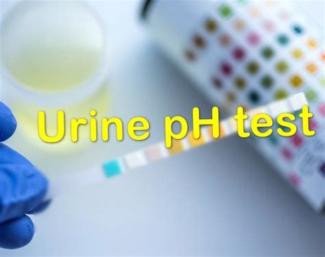 Urine Specific Gravity Test Principle Normal Values Method