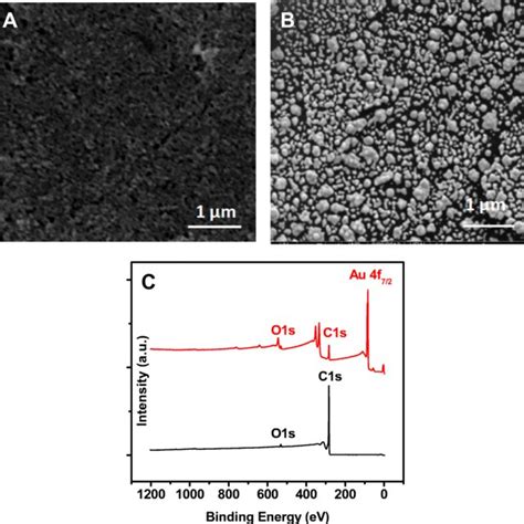 Mohammed Zourob Professor Phd Alfaisal University Riyadh