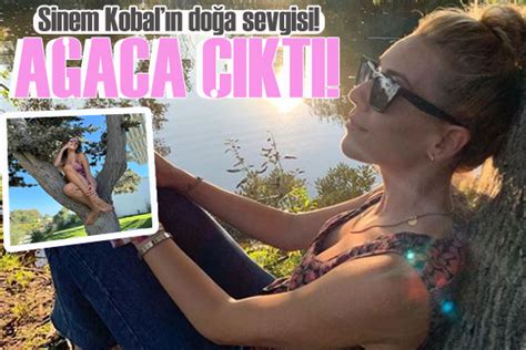 Sinem Kobal Mini Elbisesiyle Ağaca çıktı Güncel Haberler Son Dakika