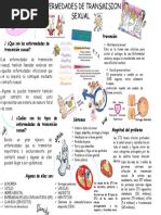 Tríptico Sobre Enfermedades De Transmisión Sexual Pdf Infección