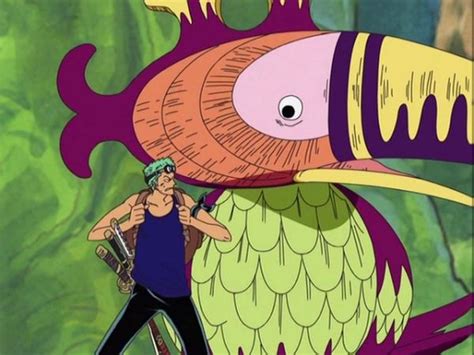 Zoro And The South Bird Anime Shows Anime One Piece Images