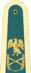Field Marshal