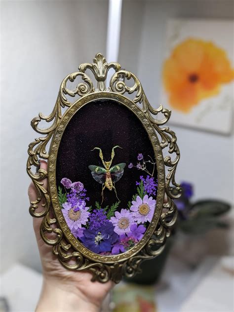 This Buggo Is Dancing In The Moonlight R Goblincore