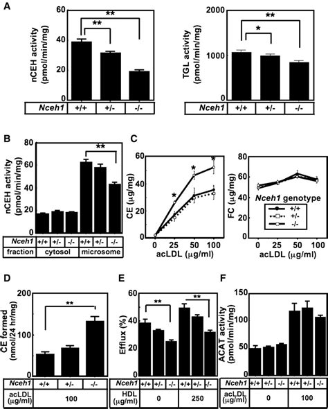 Figure 1 From Ablation Of Neutral Cholesterol Ester Hydrolase 1
