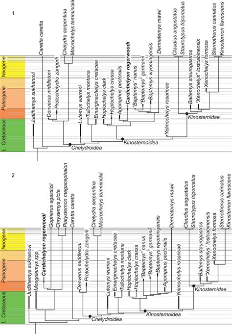 The Time Calibrated Trees Retrieved From The Phylogenetic Analyses Download Scientific Diagram