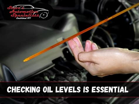 How to Check Oil Levels: A Step-by-Step Guide for Drivers - Steve's Automotive Specialists