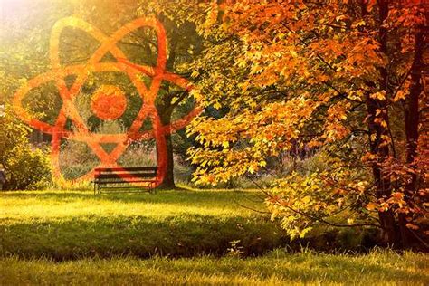 React Folder Structure In Steps