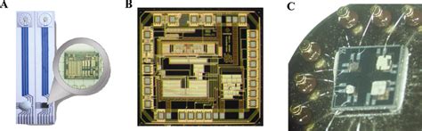 A Screen Printed Electrodes With The Chip Of Potentiostat And Example Download Scientific