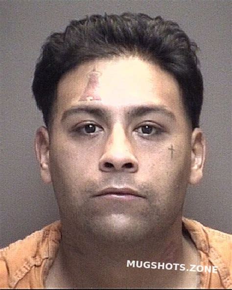 Rivera Anthony 03 07 2025 Galveston County Mugshots Zone