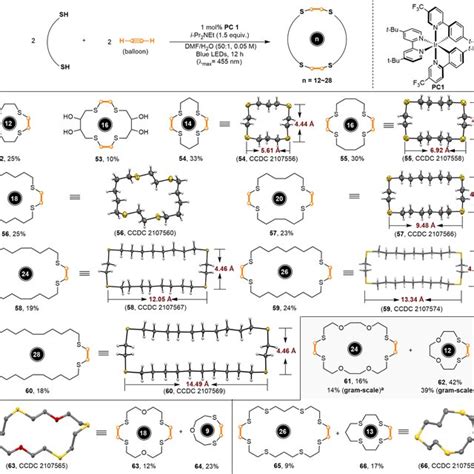 Substrate Scope For Synthesis Of 2 2 And 1 1 Patter Based