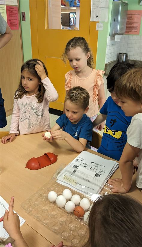 Exploring Science Together Preschoolers And 9th Graders Collaborate On