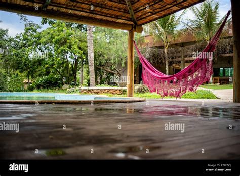 An Outdoor Hammock Hangs Suspended Between Two Trees Overlooking A