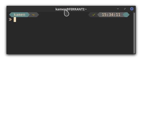 Terminal Text Isnt Shown On Lost Focus Of Multiple Tabs And Hidden Scroll Bar · Issue 372