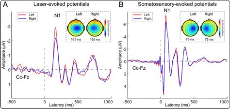 Group Level Erp Waveforms And N1 Scalp Topographies Elicited By