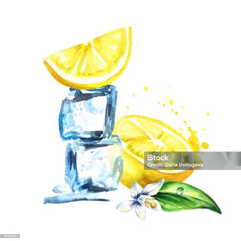 얼음 조각 고 흰색 배경에 고립 된 꽃과 레몬 수채화 손으로 그린 그림 0명에 대한 스톡 벡터 아트 및 기타 이미지 0명