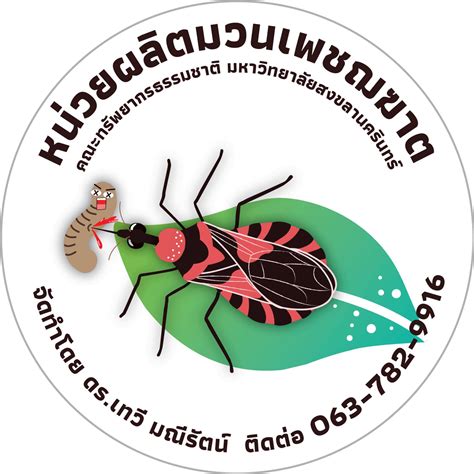 หน่วยผลิตมวน หน่วยผลิตมวนเพชฌฆาต คณะทรัพยากรธรรมชาติ มอ Facebook