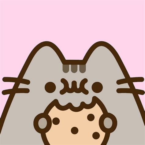 Pusheen Pfp 3 Pink Pusheen Kawaii App Pusheen Cute