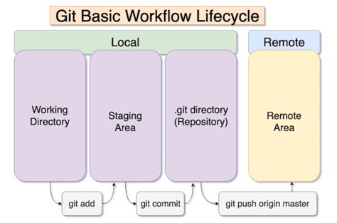 Sử dụng git
