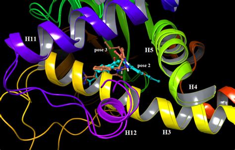 Figure S3 Binding Poses 2 And 3 Of Ligand 9i Based On The Averaged