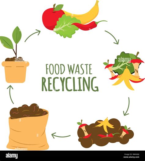 Compost Food Cycle Chart Vector Illustration Stock Vector Image And Art