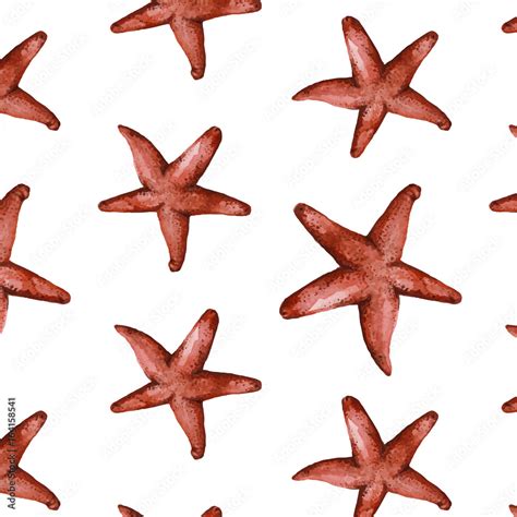 Invertebrates Echinoderms