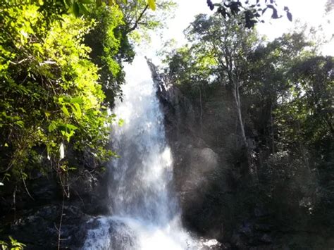 Best Hikes And Trails In Parque Distrital Do Tororó Alltrails
